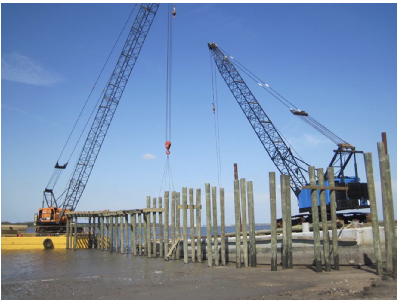 Center for a Sustainable Coast – A2 | Anthropocene Alliance