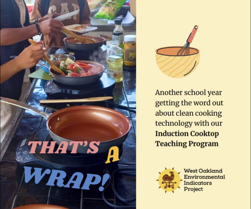 Induction Cooktop Teaching Project – A2 | Anthropocene Alliance