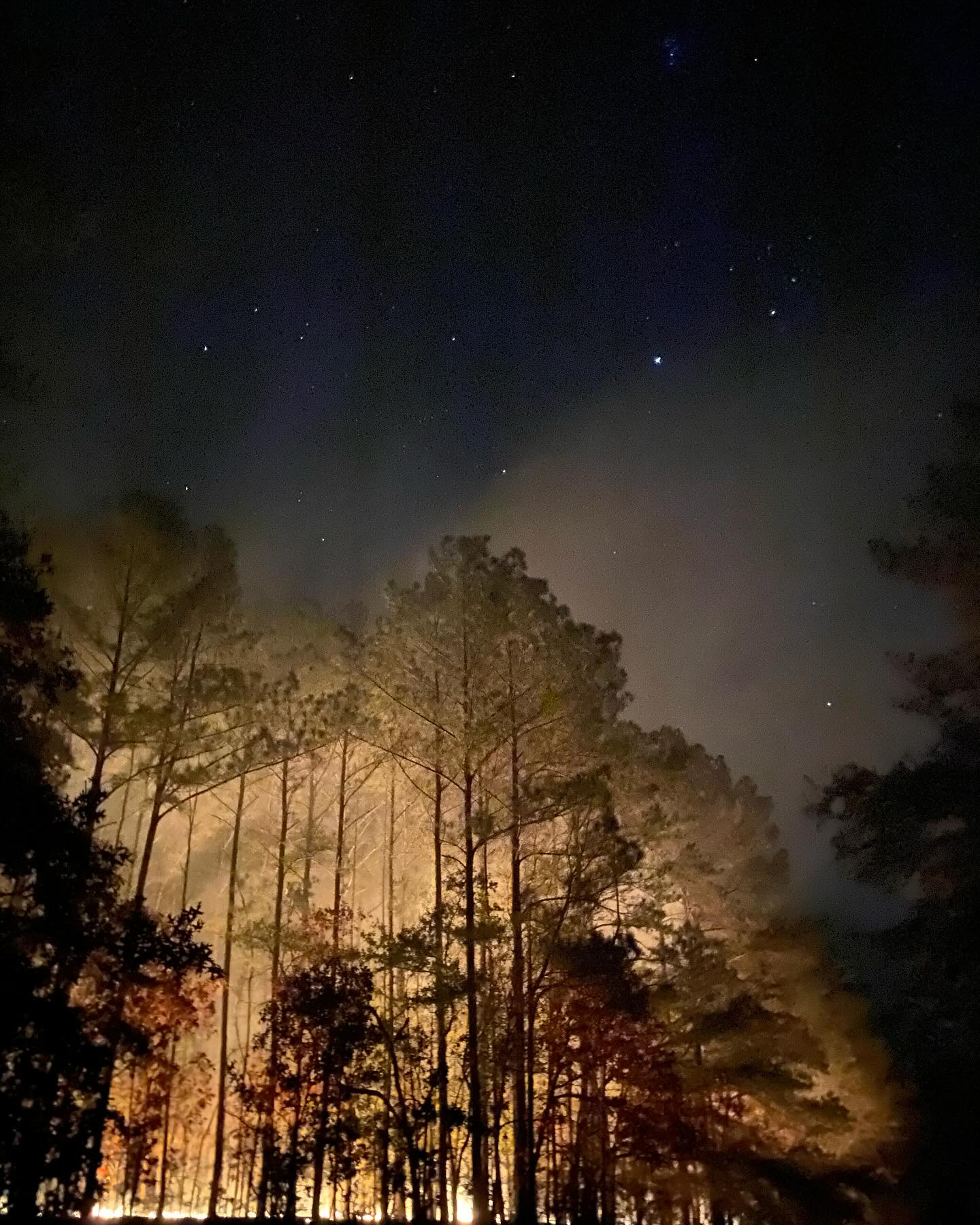 Burrow Nature Center – A2 | Anthropocene Alliance