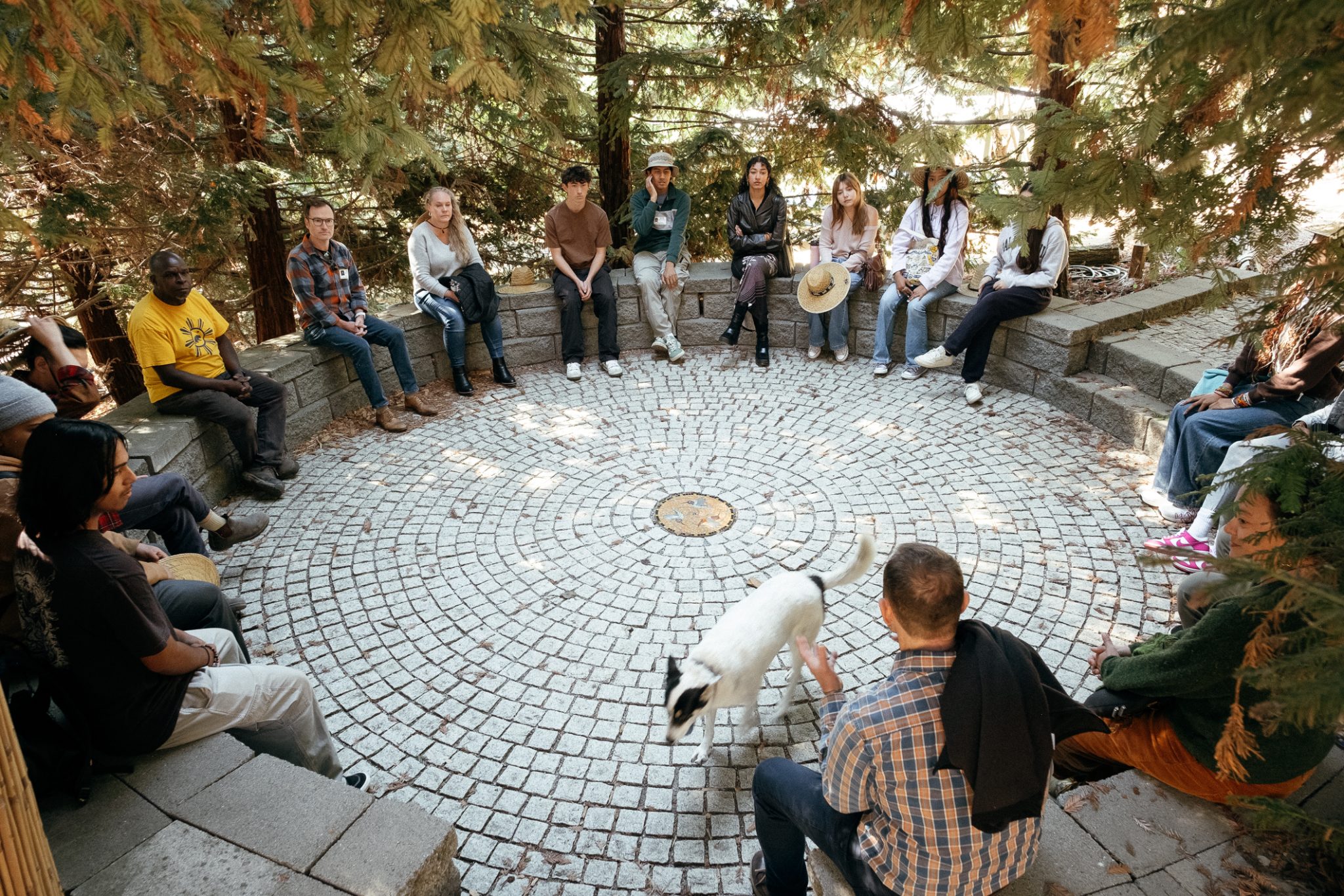 ReScape – A2 | Anthropocene Alliance